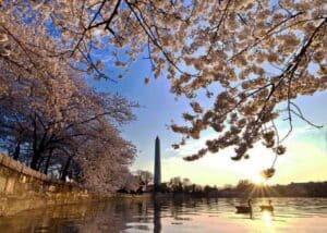 USA Guided Tours | Award-Winning Washington DC and NYC Tours
